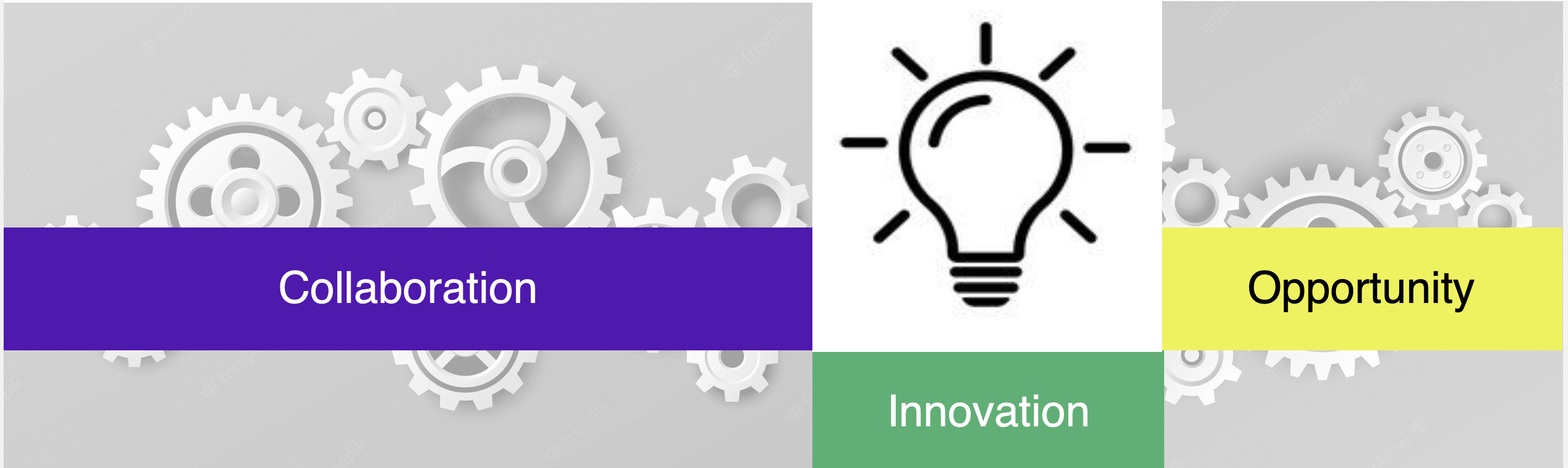 Indigo Partner Portal